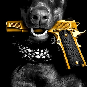 Doberman With Golden Gun, Hypebeast Fashion Poster (digital Download ...