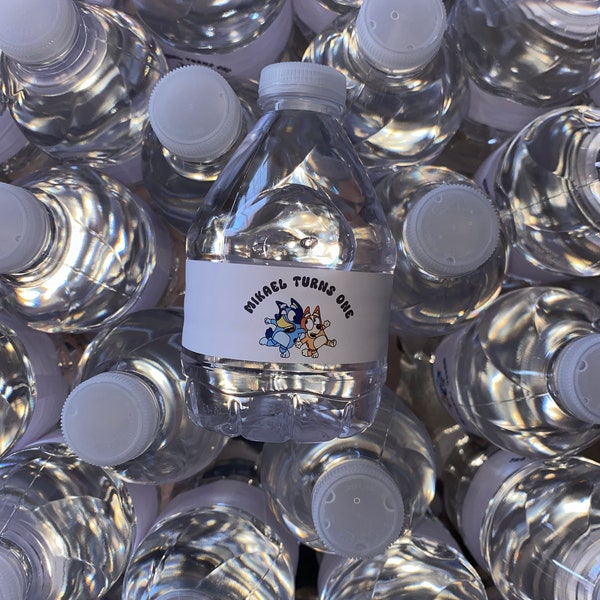 Bluey Water Bottle Labels Svg - Etsy