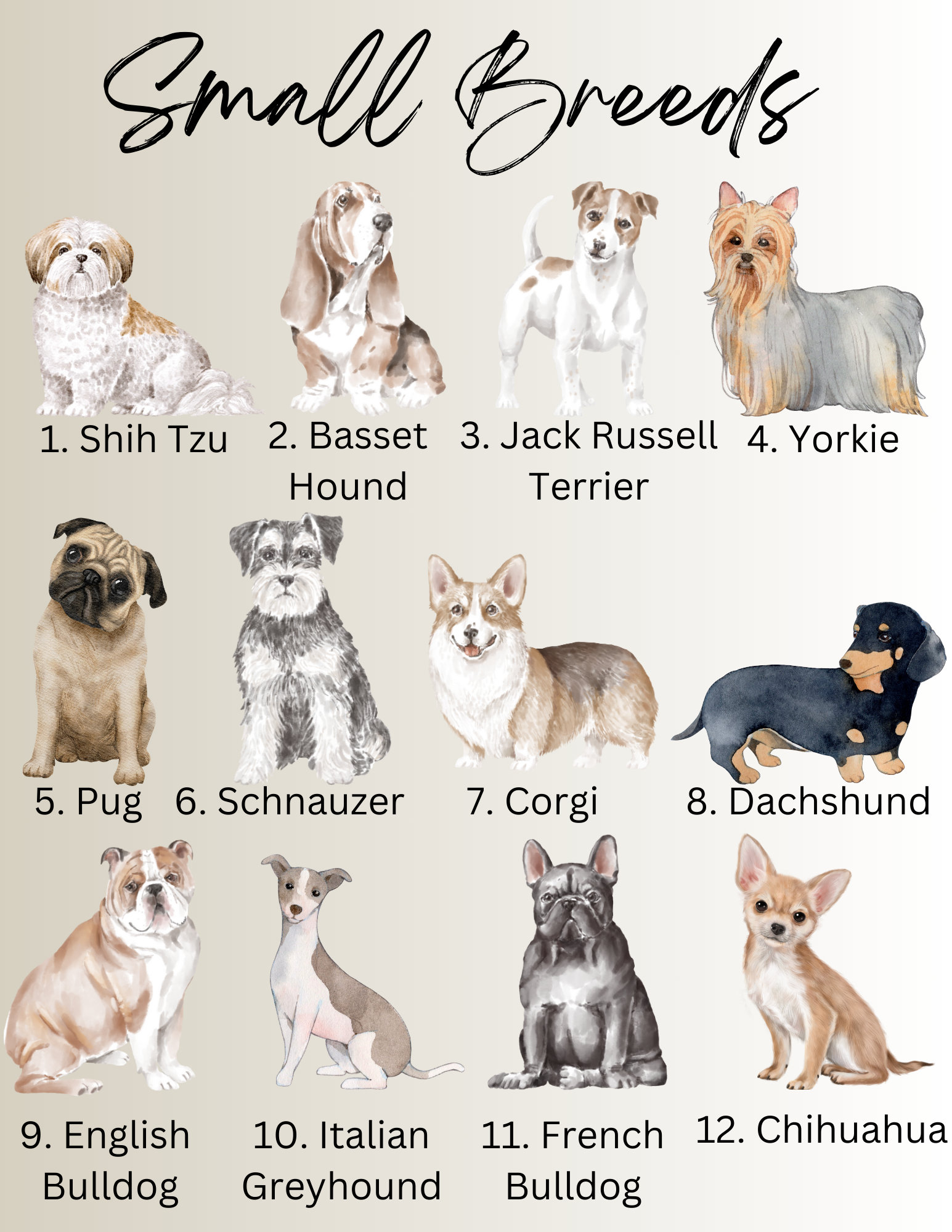 Pet Inspired Custom Bar Menu Digital Download - Etsy