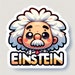 11 Einstein Stickers Science Stickers Science Decals - Etsy