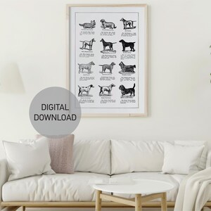 Vintage Dog Breed Print, Dog Lover Poster, Living Room Wall Art ...