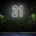 21 - LED Neon Sign - Etsy
