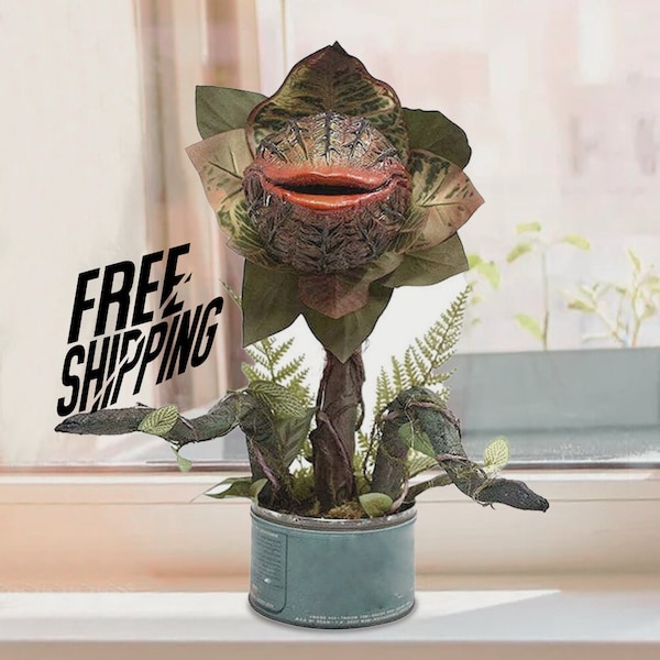 Venus Fly Trap - Etsy