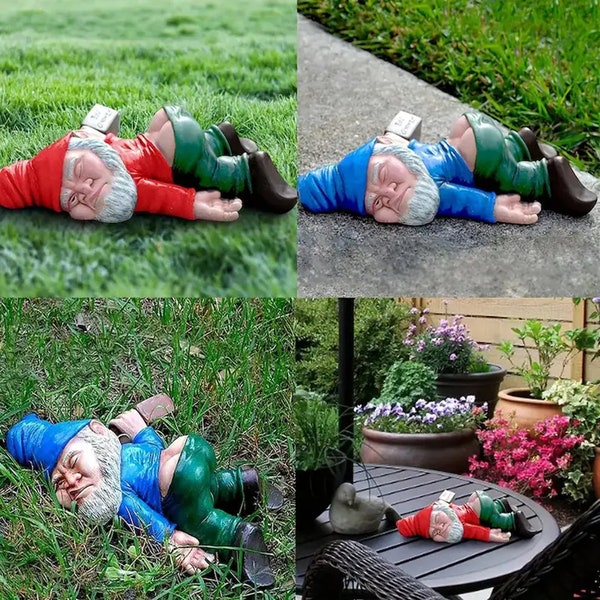Rude Garden Gnomes - Etsy