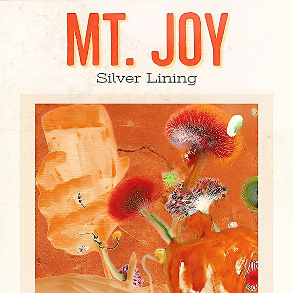 Mt Joy Poster - Etsy