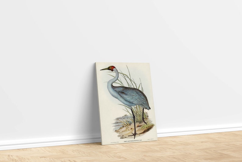 The Crane Paint by Numbers Colorful Painting Abstract 16x20 Framed DIY ...