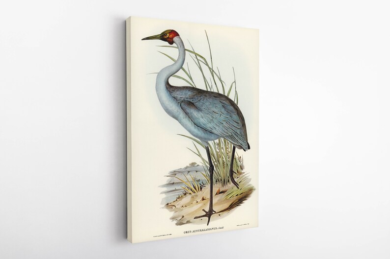 The Crane Paint by Numbers Colorful Painting Abstract 16x20 Framed DIY ...