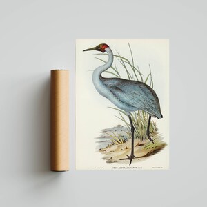 The Crane Paint by Numbers Colorful Painting Abstract 16x20 Framed DIY ...