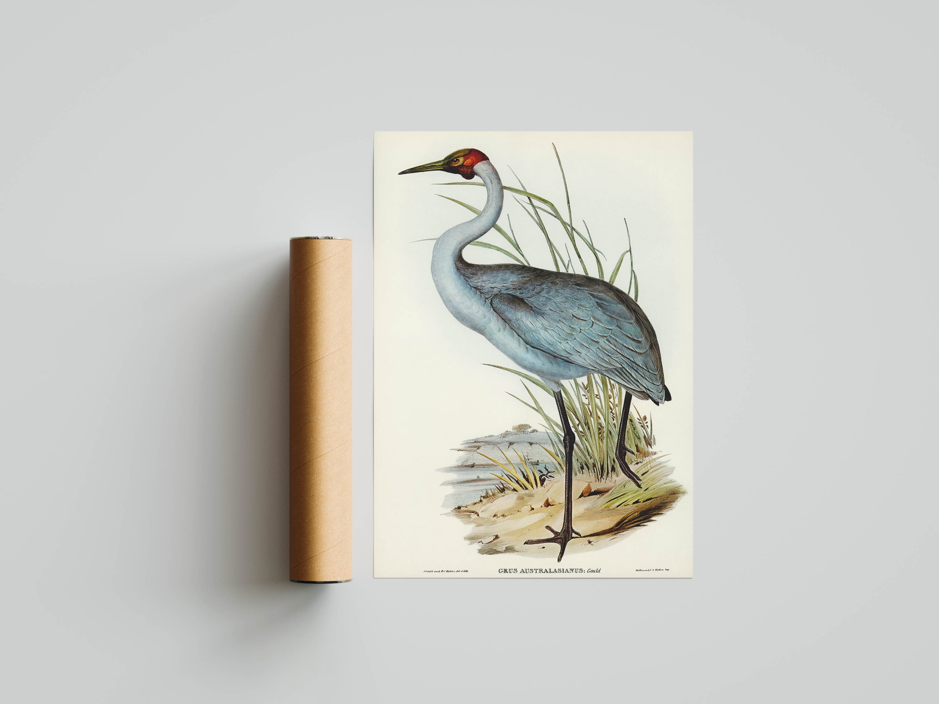 The Crane Paint by Numbers Colorful Painting Abstract 16x20 Framed DIY ...