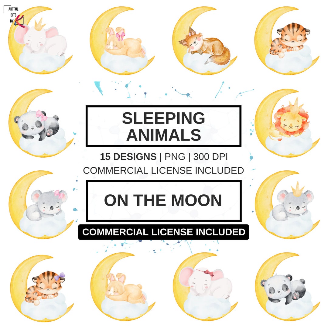 15 PNG Watercolor Sleeping Animals Clipart Set Cute Animals Sleeping on ...