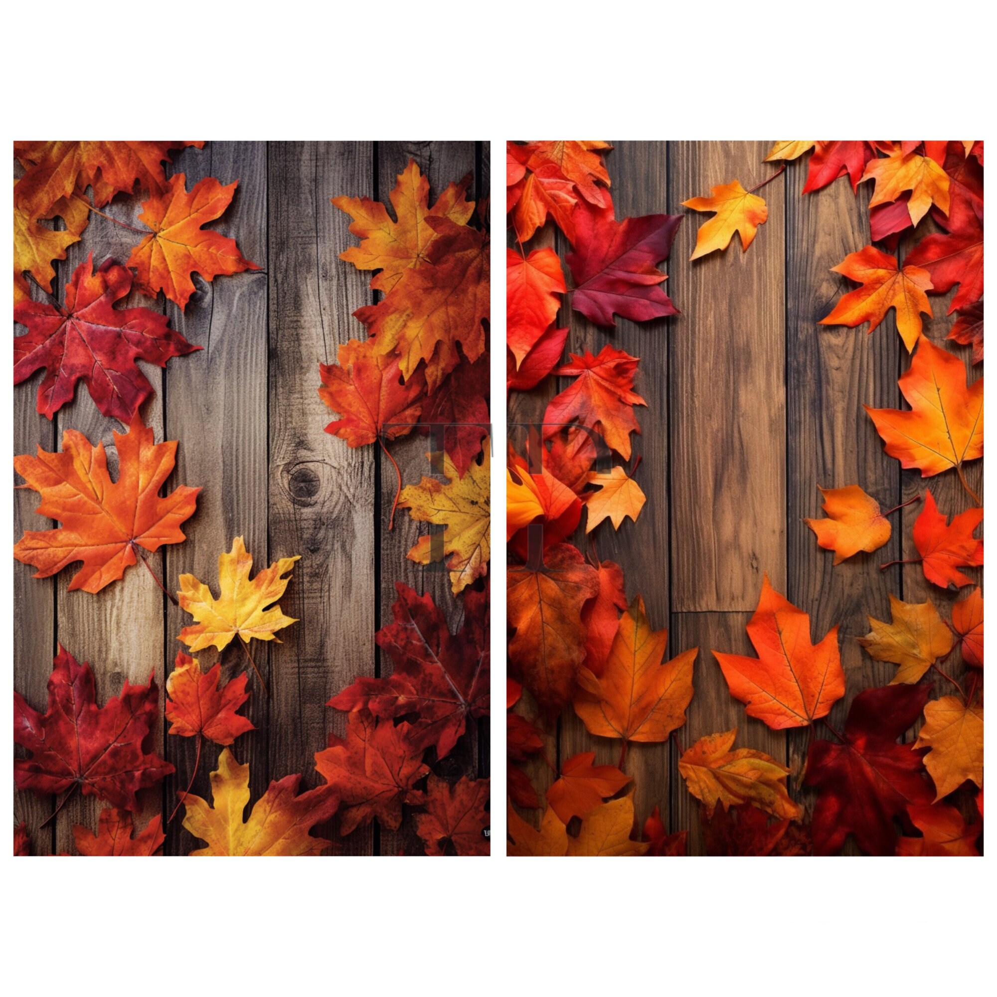 Fall Leaves Digital Backdrop - Autumn Photo Prop for Photographers ...