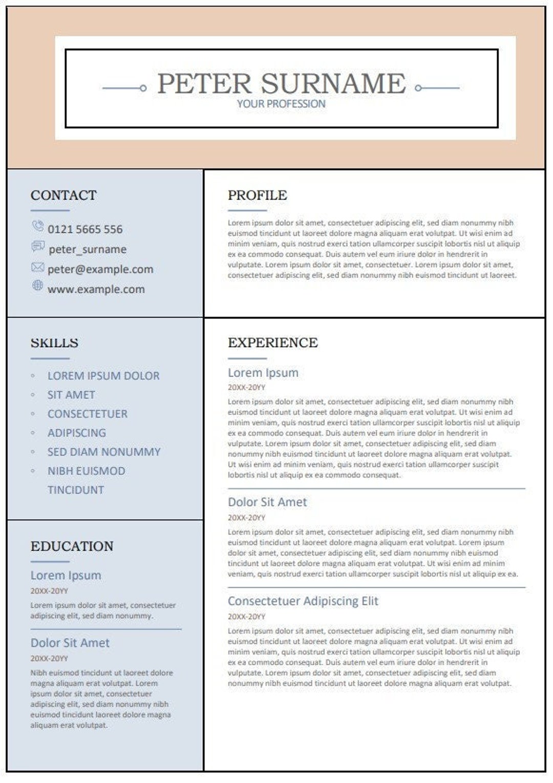 Resume CV Template Cv Template Word Cv CV Template - Etsy UK