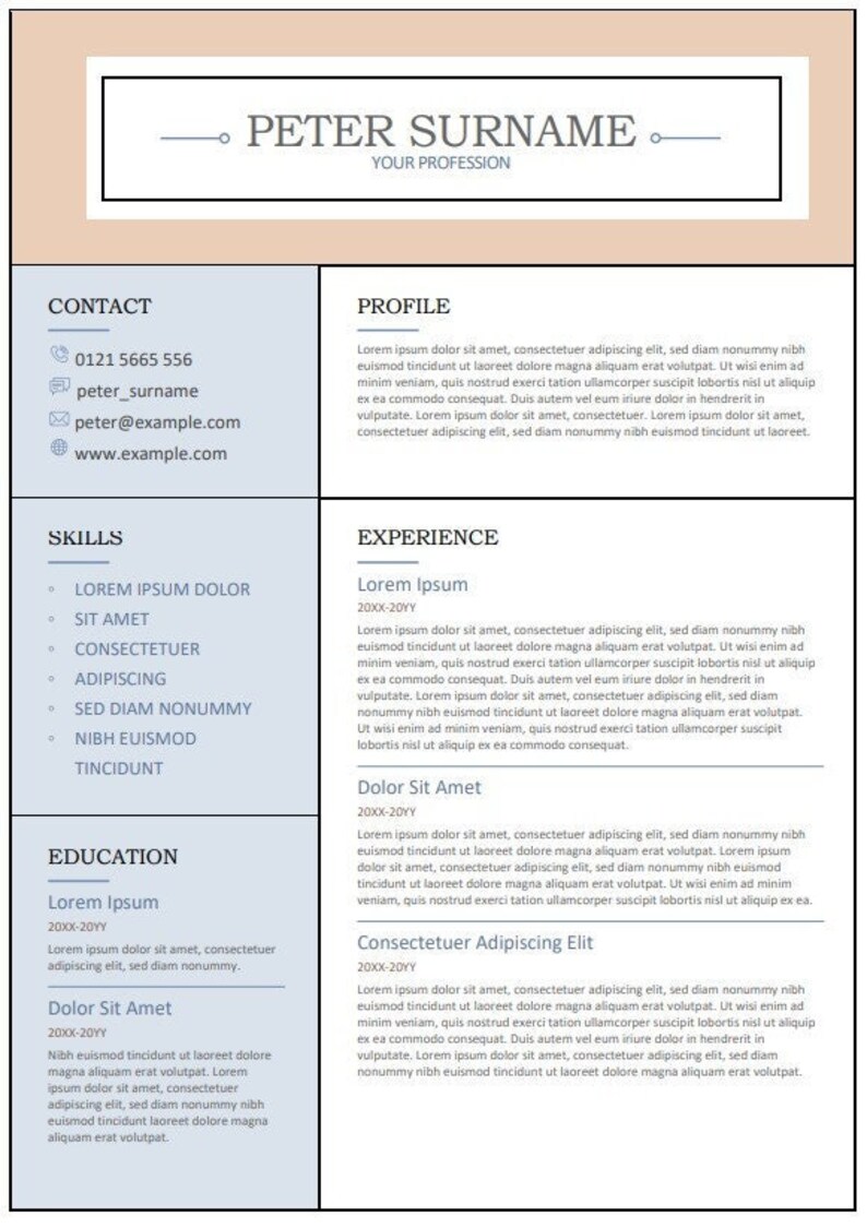 Resume CV Template Cv Template Word Cv CV Template - Etsy UK