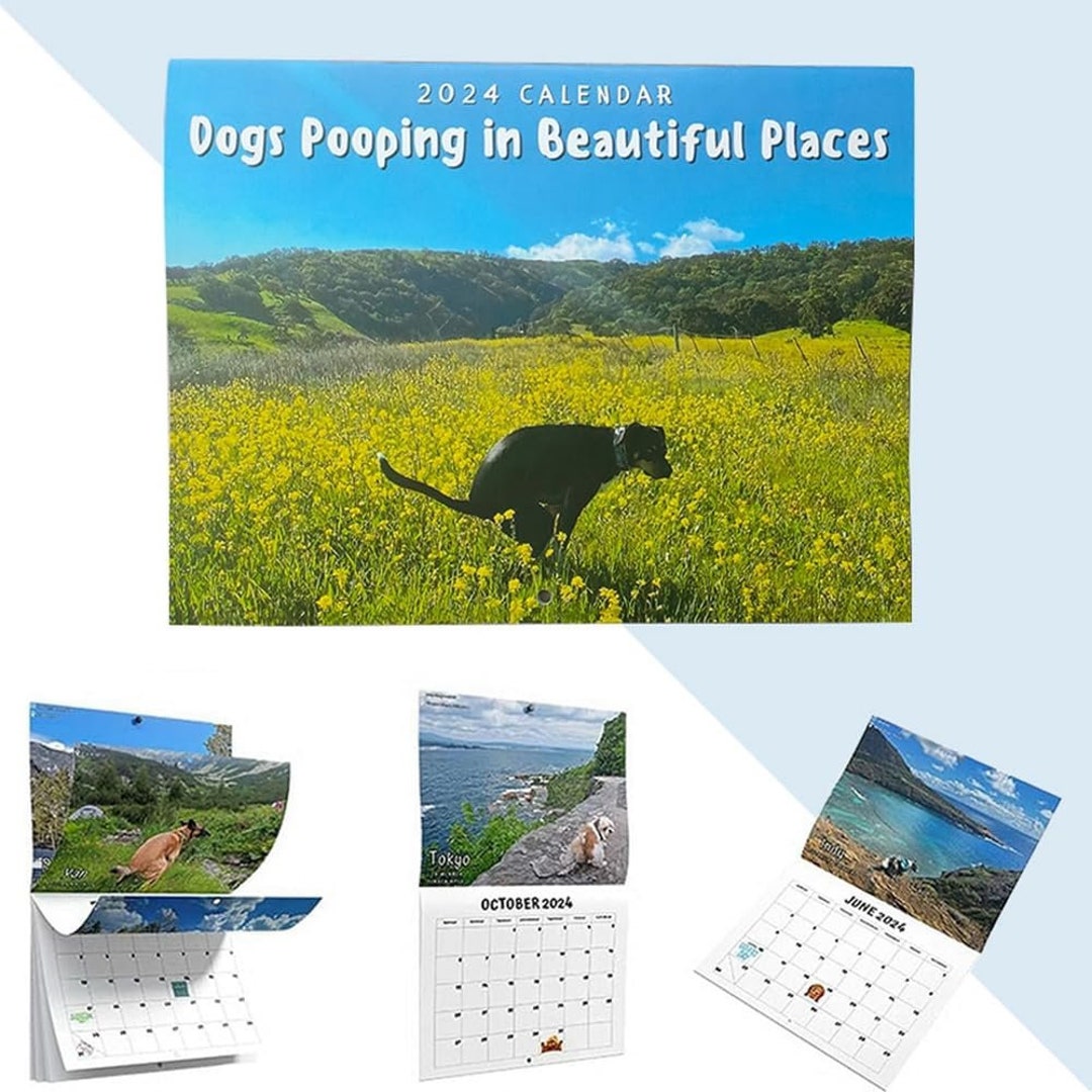 2024 Calendar Dogs Pooping in Beautiful Places Wall Calendar - Etsy