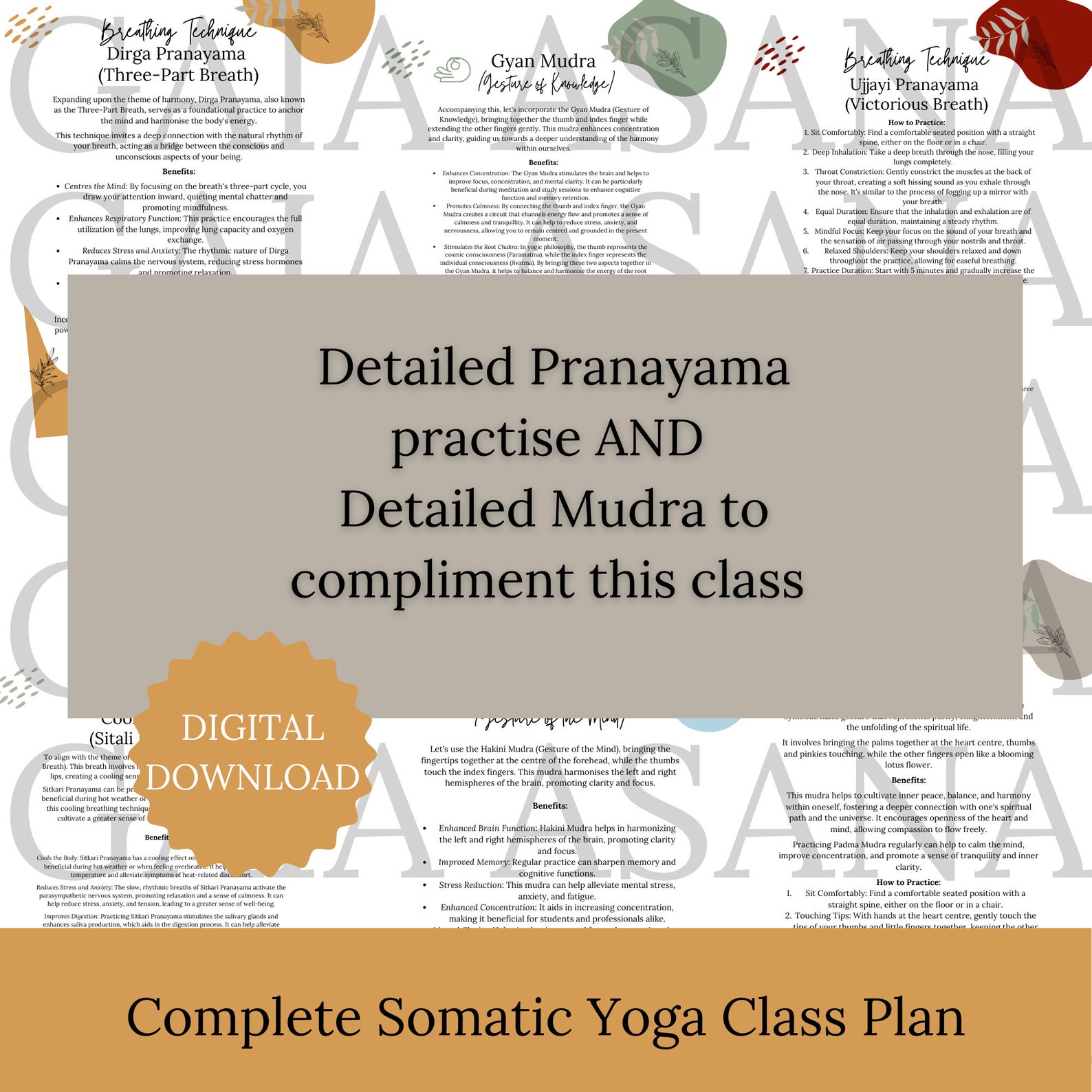 60 Minute Somatic Yoga Class Script Complete Yoga Package Digital ...