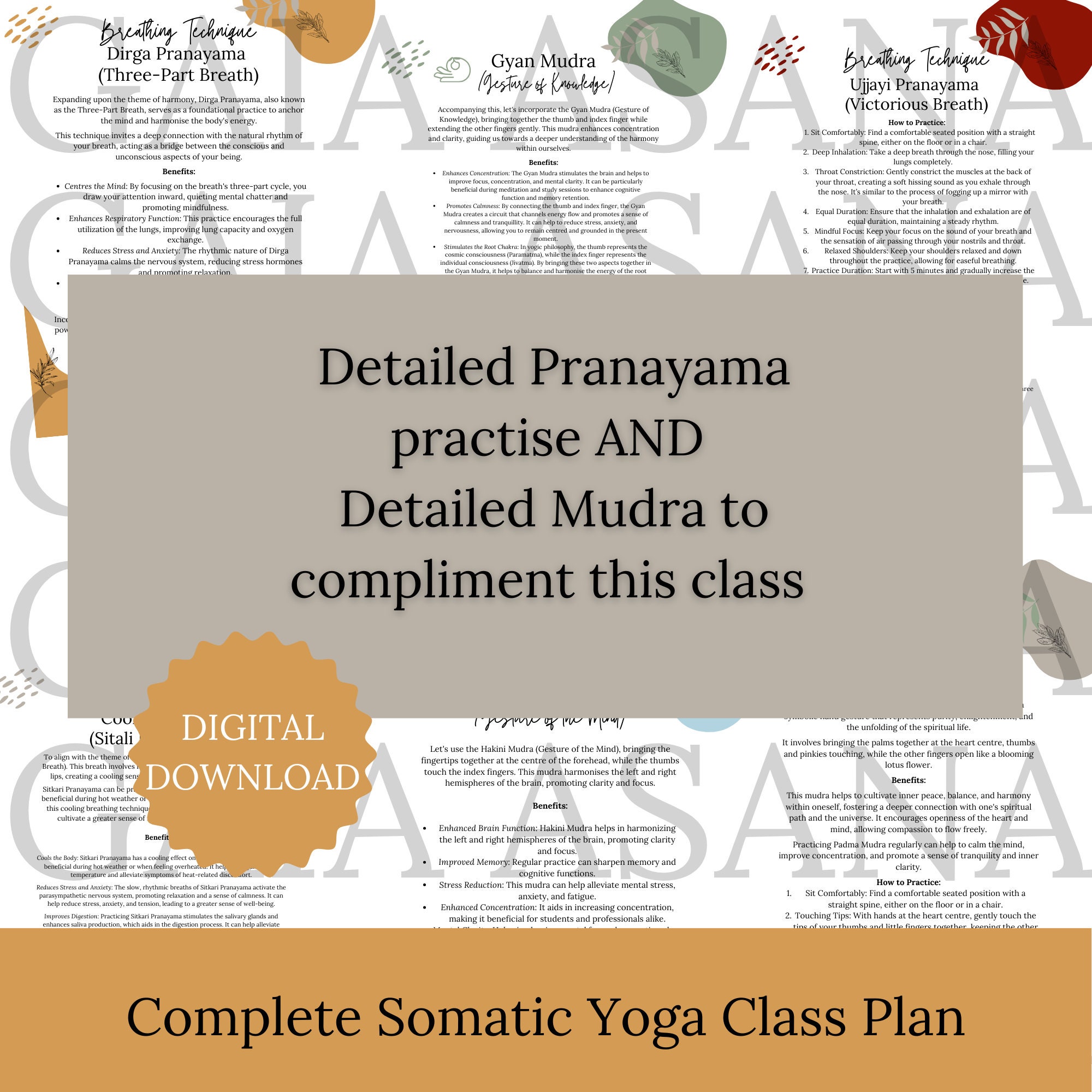 60 Minute Somatic Yoga Class Script Complete Yoga Package Digital ...