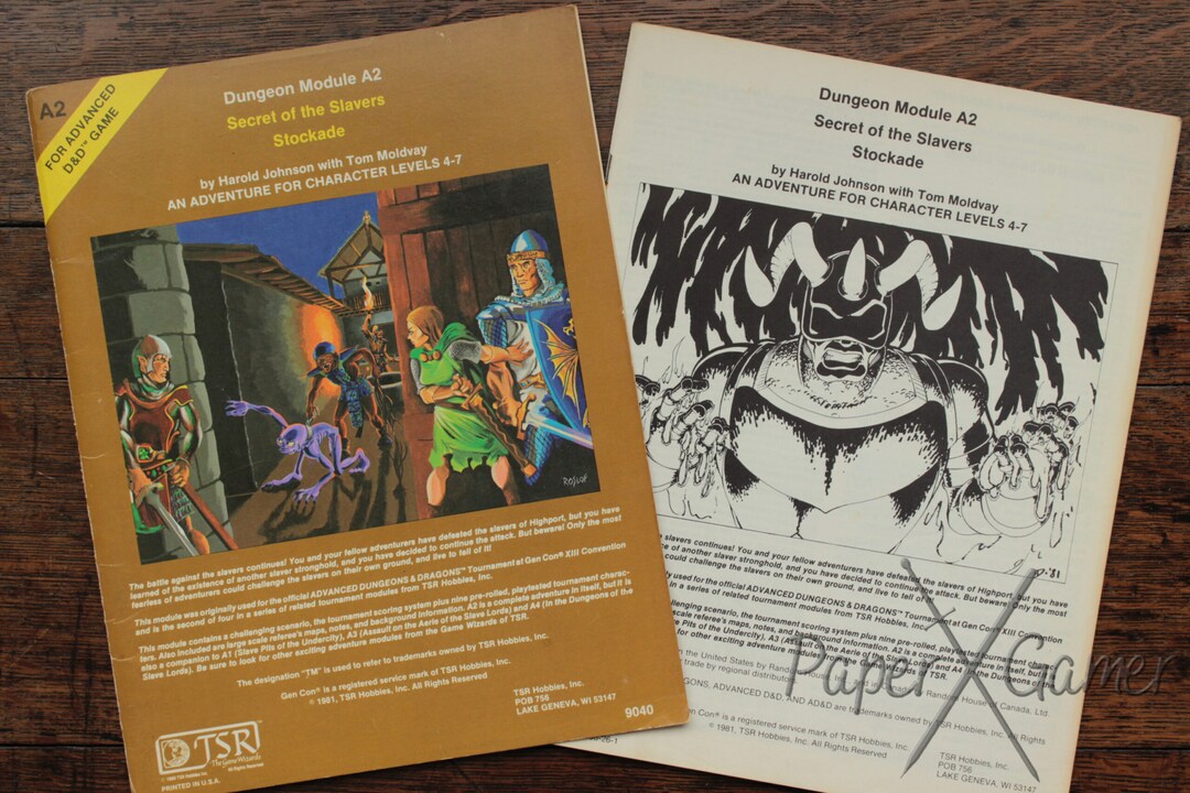 Secret of the Slavers Stockade Slavers 2 Module AD&D 1st Ed 1E TSR 9040 ...