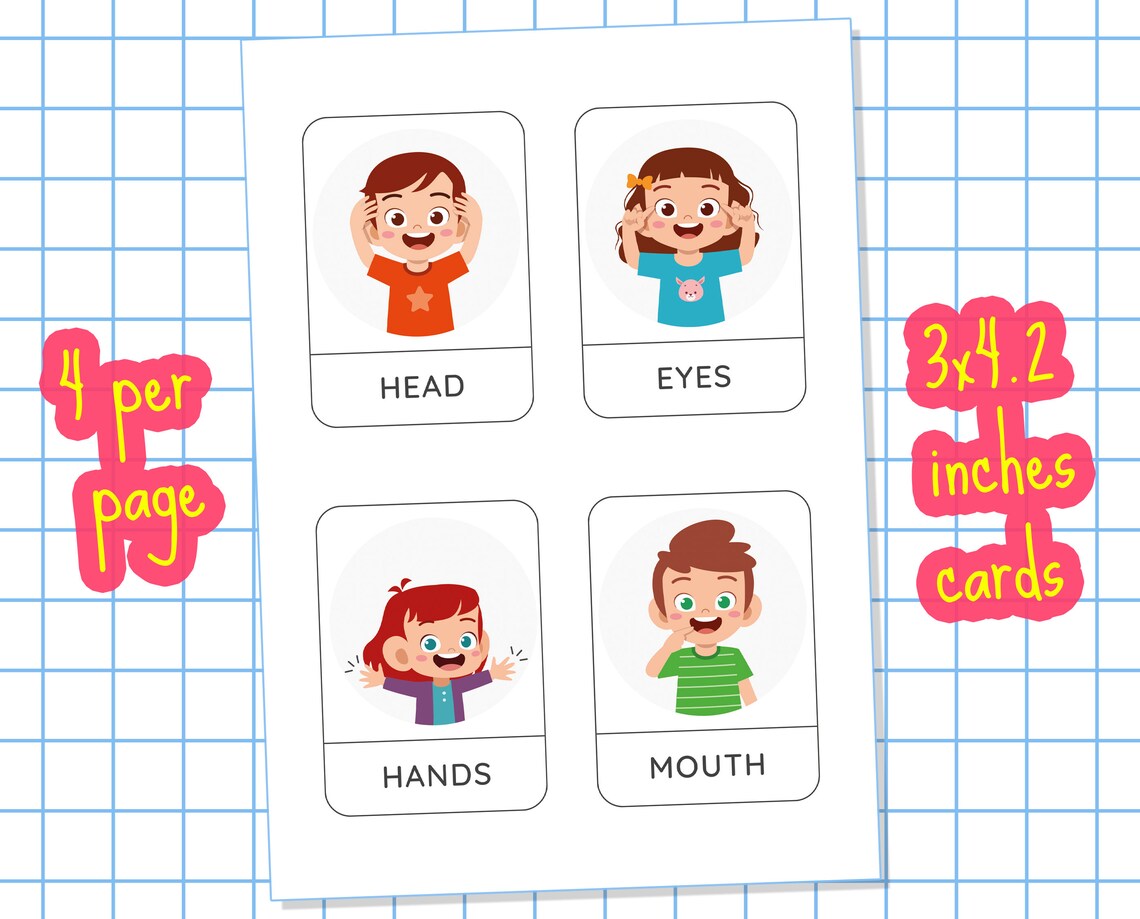 Educational BODY PARTS Flashcards for Kids Learn With Fun, Preschool ...