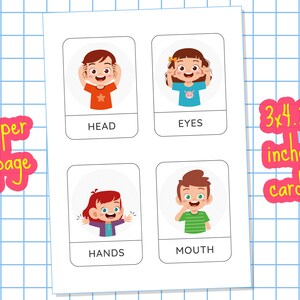 Educational BODY PARTS Flashcards for Kids | Learn With Fun, Preschool ...