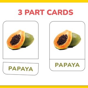 40 Fruits Real Photo Flashcards, Fruit Flashcards for Kids, Printable ...