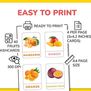40 Fruits Real Photo Flashcards, Fruit Flashcards for Kids, Printable ...
