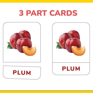 40 Fruits Real Photo Flashcards, Fruit Flashcards for Kids, Printable ...
