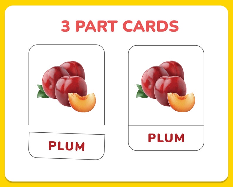 40 Fruits Real Photo Flashcards Fruit Flashcards for Kids - Etsy