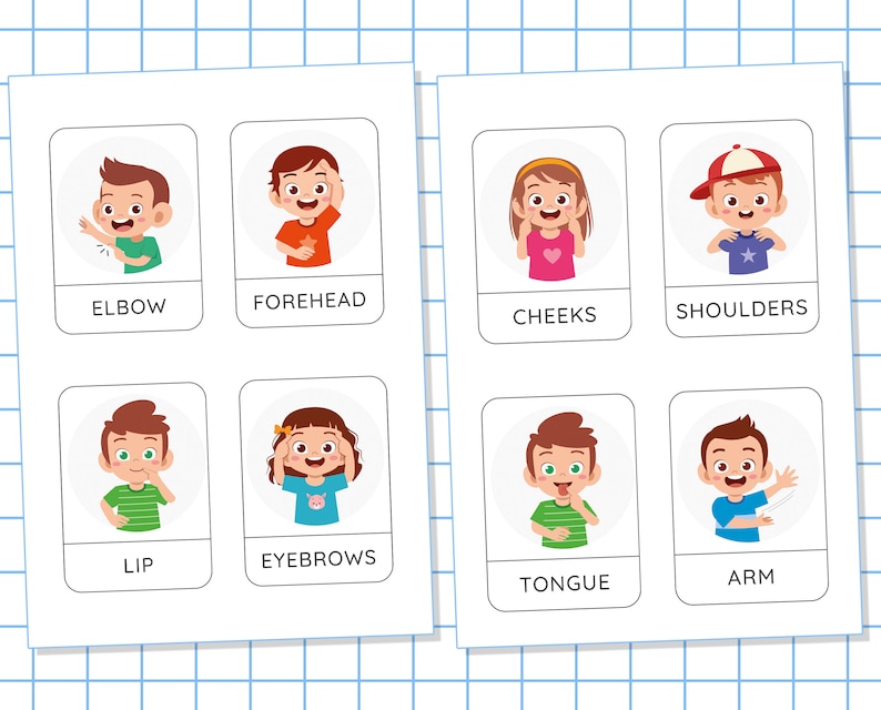 Educational BODY PARTS Flashcards for Kids | Learn With Fun, Preschool ...