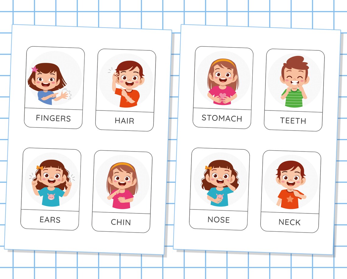 Body Parts Flashcards for Kids: Montessori Learning (digital Download ...