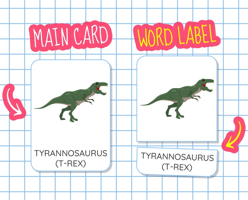 24 Dinosaur Flashcards | Montessori Flashcards for Toddler | Printable ...