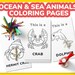 Coloring Pages for Kids Ocean and Sea Animals, 20 Printable Ocean and ...