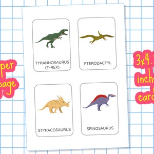 24 Dinosaur Flashcards | Montessori Flashcards for Toddler | Printable ...