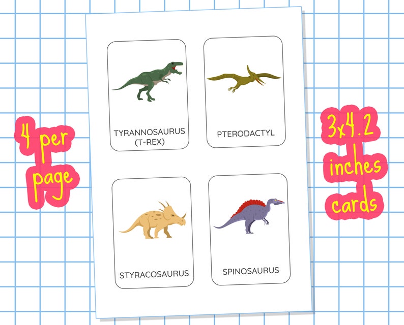 24 Dinosaur Flashcards | Montessori Flashcards for Toddler | Printable ...