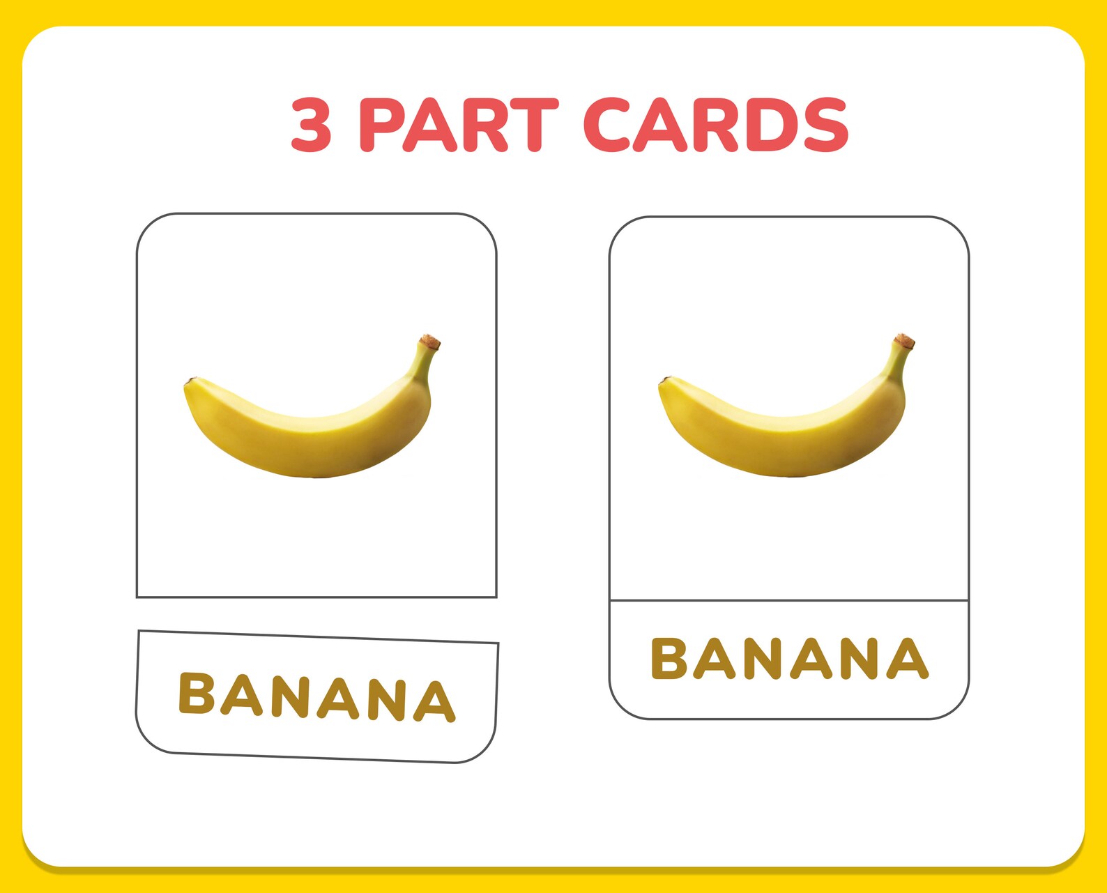 40 Fruits Real Photo Flashcards, Fruit Flashcards for Kids, Printable ...