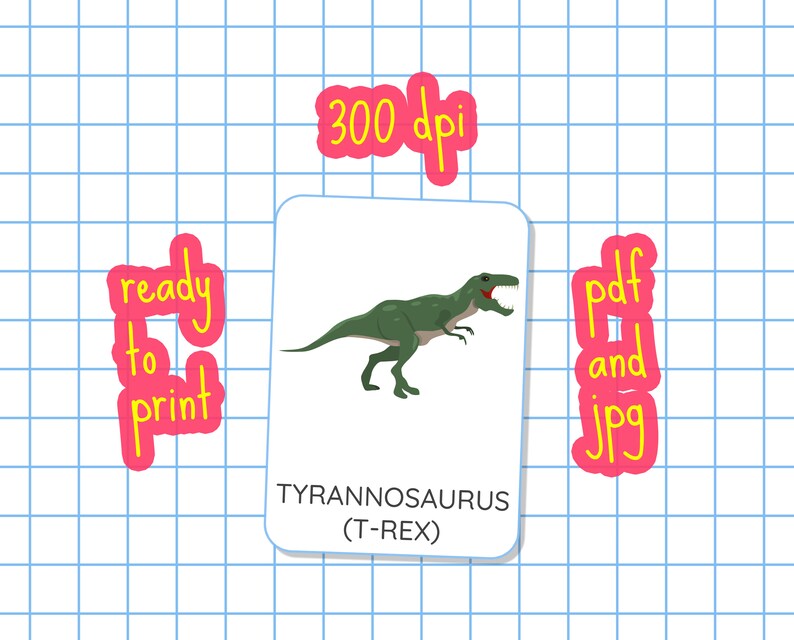 24 Dinosaur Flashcards | Montessori Flashcards for Toddler | Printable ...