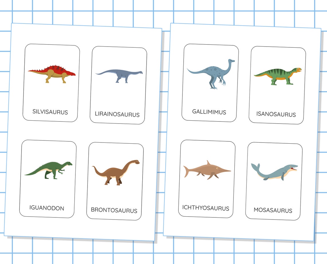 24 Dinosaur Flashcards | Montessori Flashcards for Toddler | Printable ...