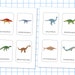 24 Dinosaur Flashcards | Montessori Flashcards for Toddler | Printable ...