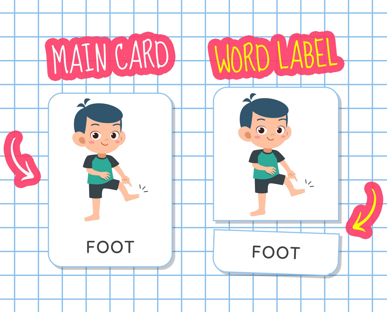 Educational BODY PARTS Flashcards for Kids | Learn With Fun, Preschool ...