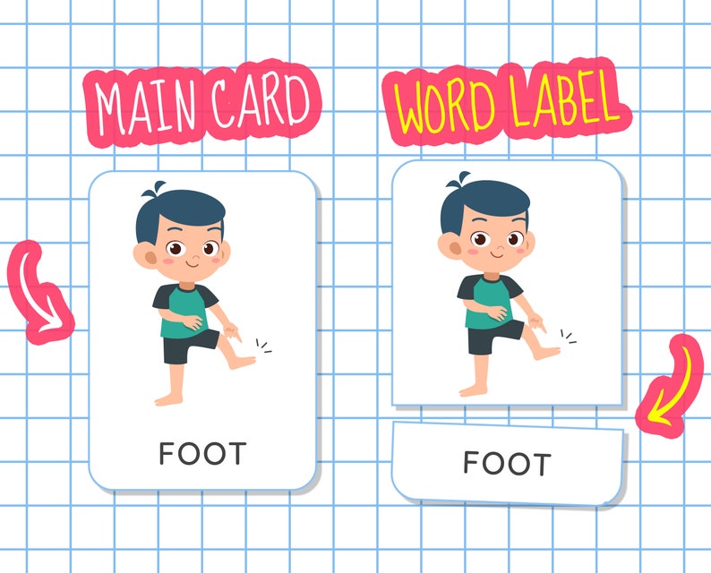 Educational BODY PARTS Flashcards for Kids | Learn With Fun, Preschool ...