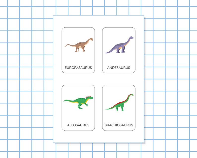 24 Dinosaur Flashcards | Montessori Flashcards for Toddler | Printable ...