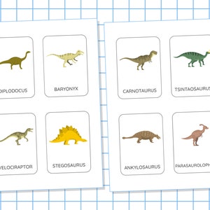 24 Dinosaur Flashcards | Montessori Flashcards for Toddler | Printable ...
