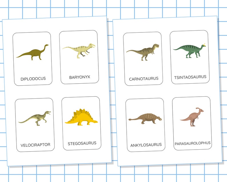 24 Dinosaur Flashcards | Montessori Flashcards for Toddler | Printable ...