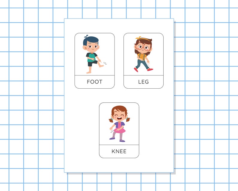Educational BODY PARTS Flashcards for Kids | Learn With Fun, Preschool ...