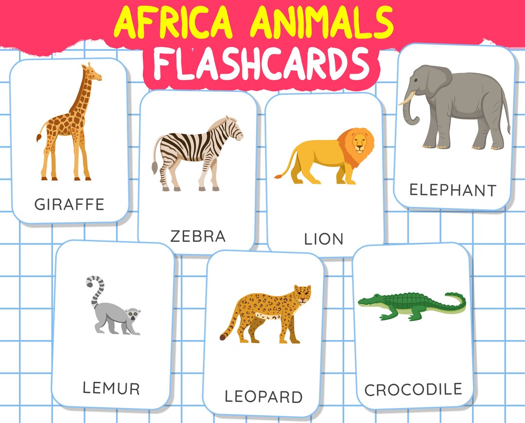 20 Tarjetas didácticas de ANIMALES DE ÁFRICA / Tarjetas - Etsy México