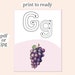 Animal Alphabet Tracing Posters: Minimal Classroom Decor (digital ...