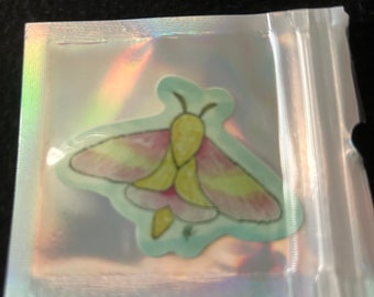 Rosy Maple Moth Vinyl Sticker - Etsy