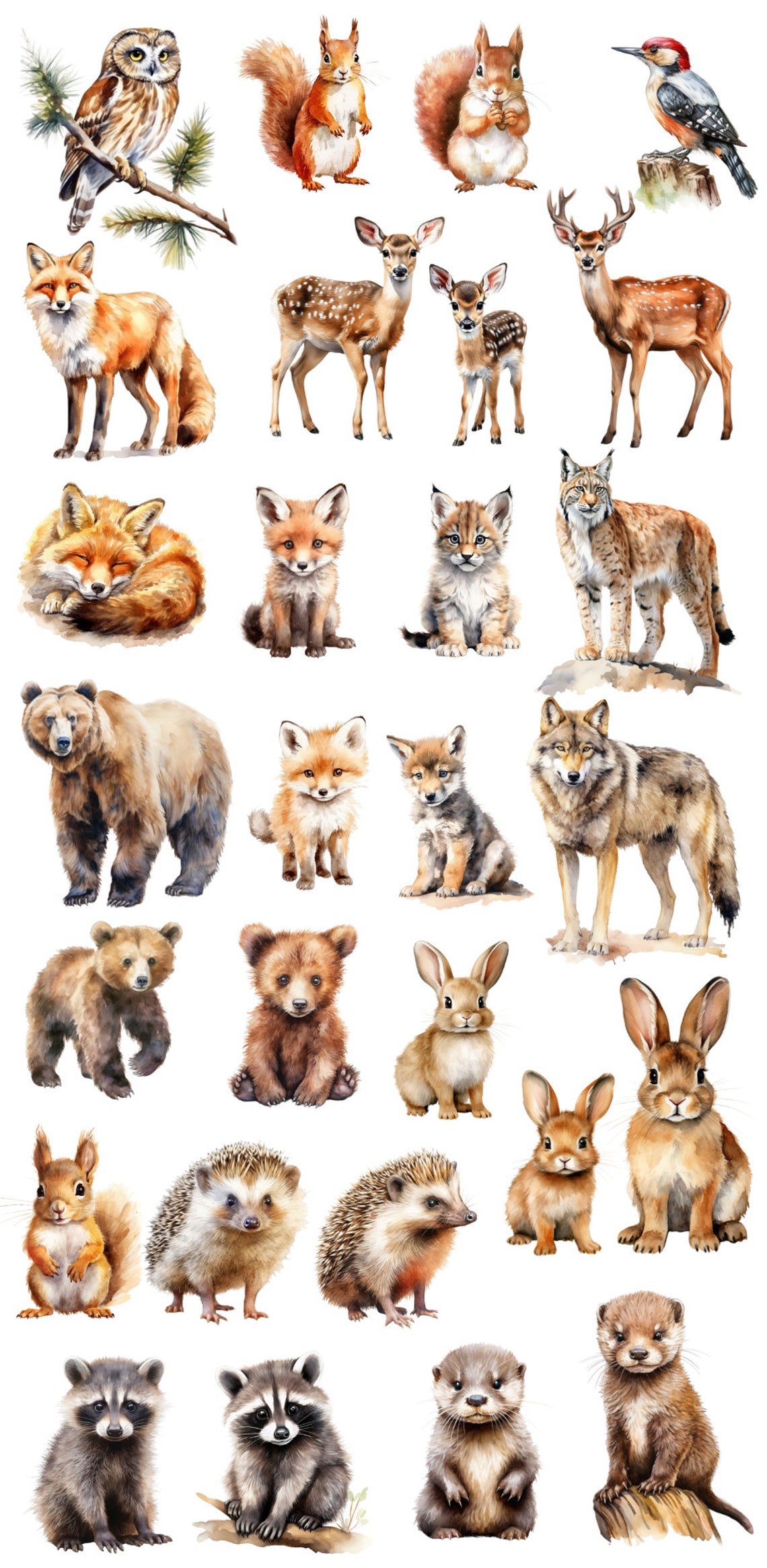 Woodland Animals Clipart Watercolor Forest Animals PNG, Wild Woodland ...