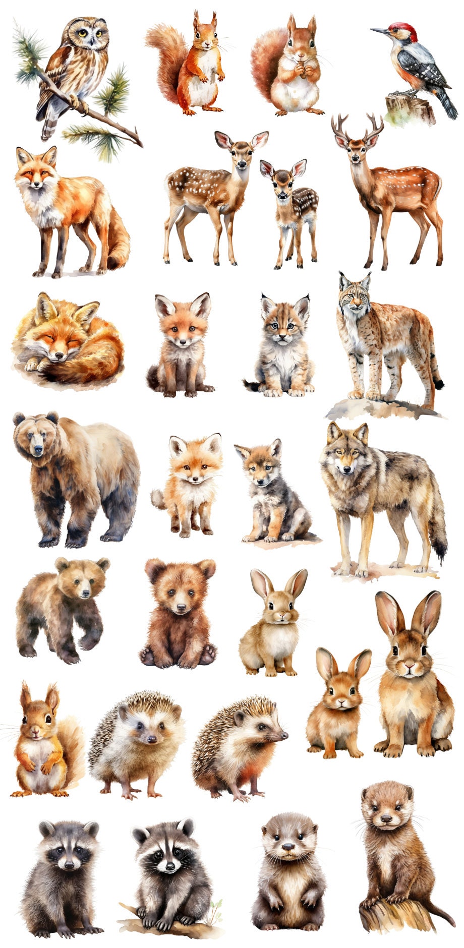 Woodland Animals Clipart Watercolor Forest Animals PNG, Wild Woodland ...
