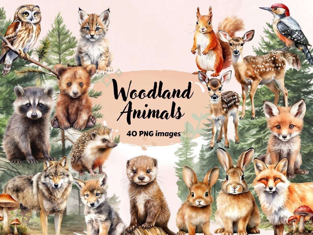 Woodland Animals Clipart Watercolor Forest Animals PNG, Wild Woodland ...