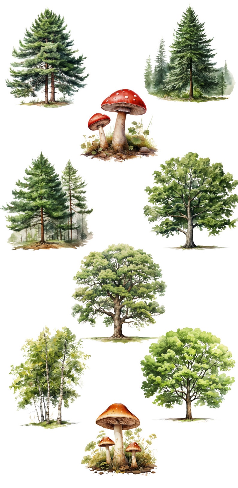 Woodland Animals Clipart Watercolor Forest Animals PNG, Wild Woodland ...